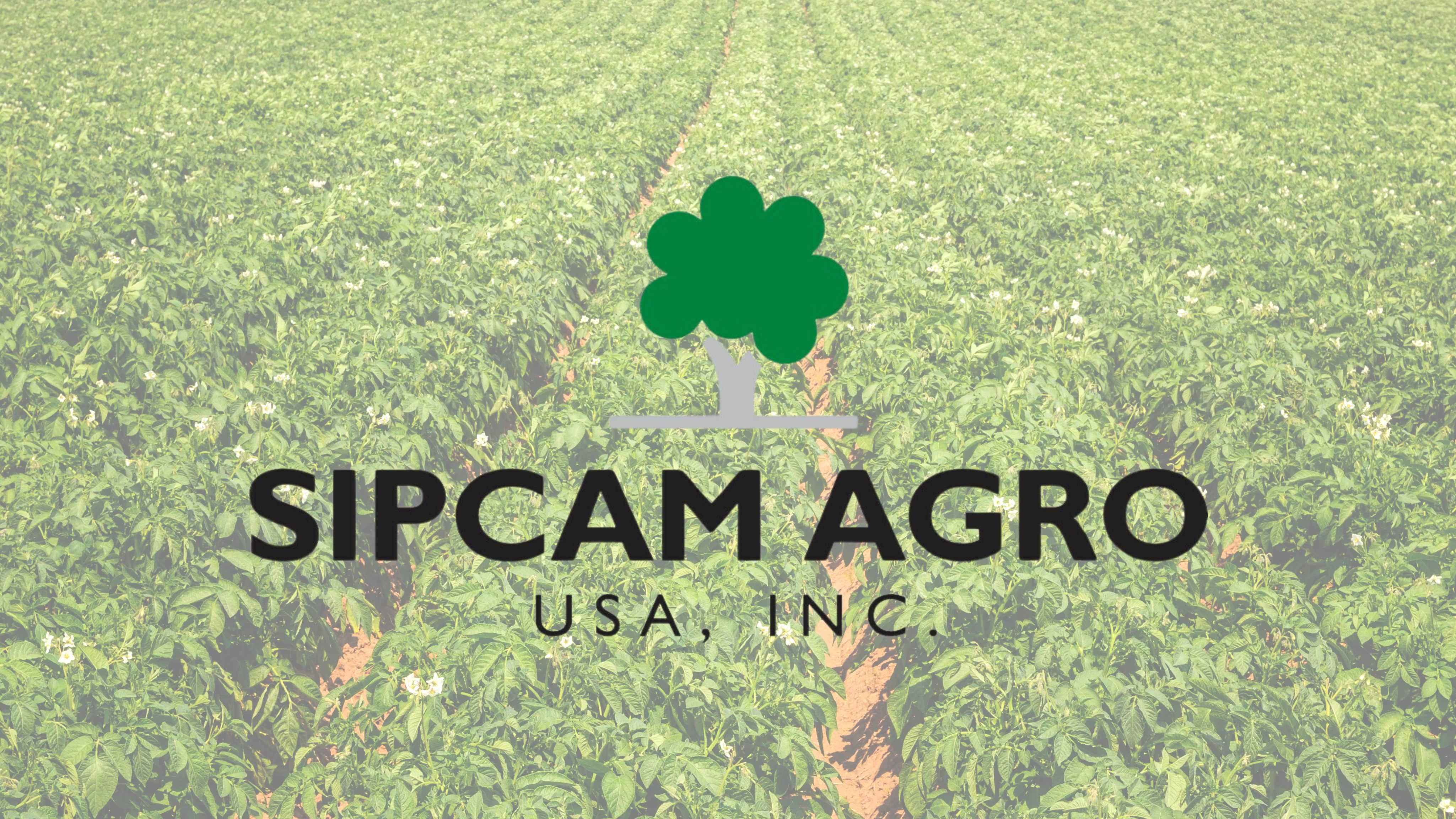 Sipcam Agro Solutions Announces Construction of New Fungicide and ...