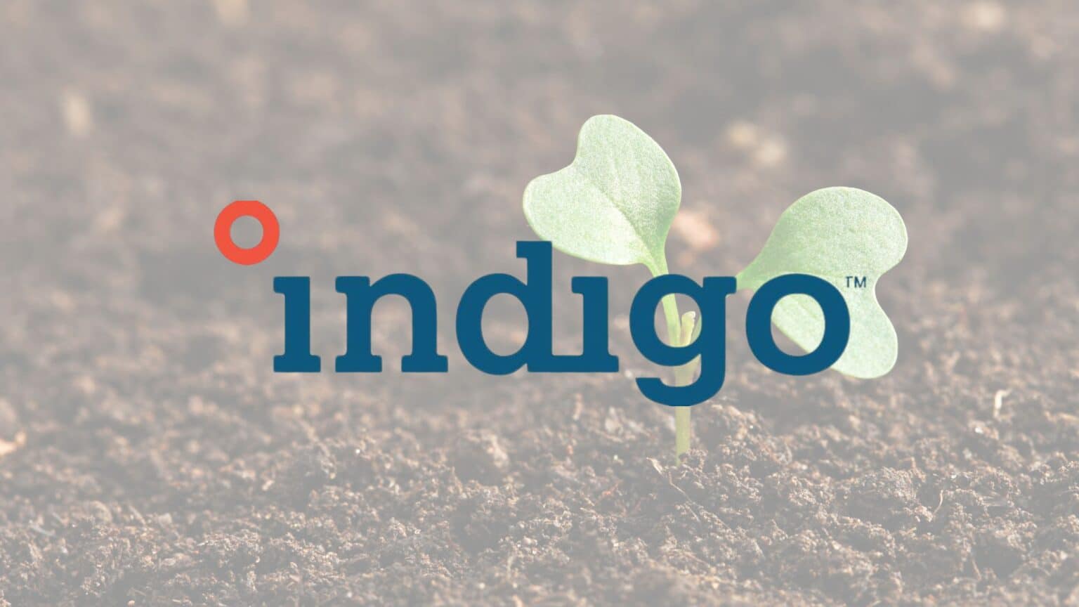 Indigo Carbon Issues Fifth U.S. Crop, Surpasses 2M Metric Tons of ...
