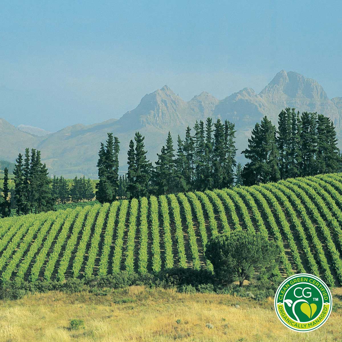 Clean Green Certified® Expands Certification Programs to Meet Growing ...