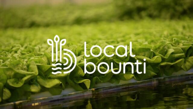 Local Bounti Reports Q2 2025 Results and Appoints CCO