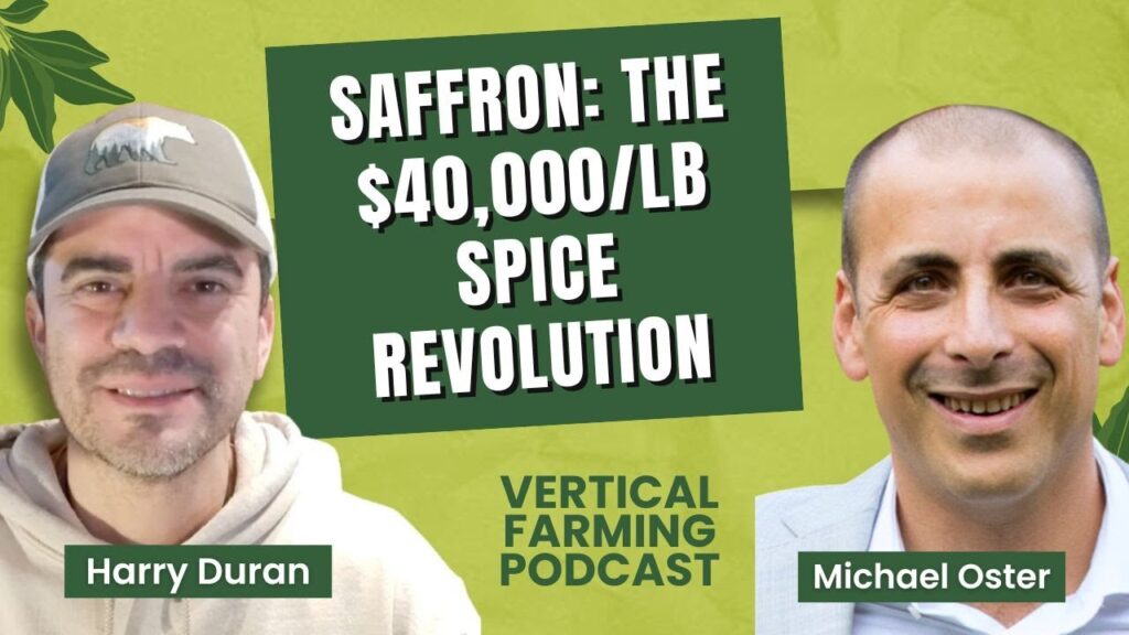 Michael Oster: Leading Saffron Tech’s Transition into Commercial ...