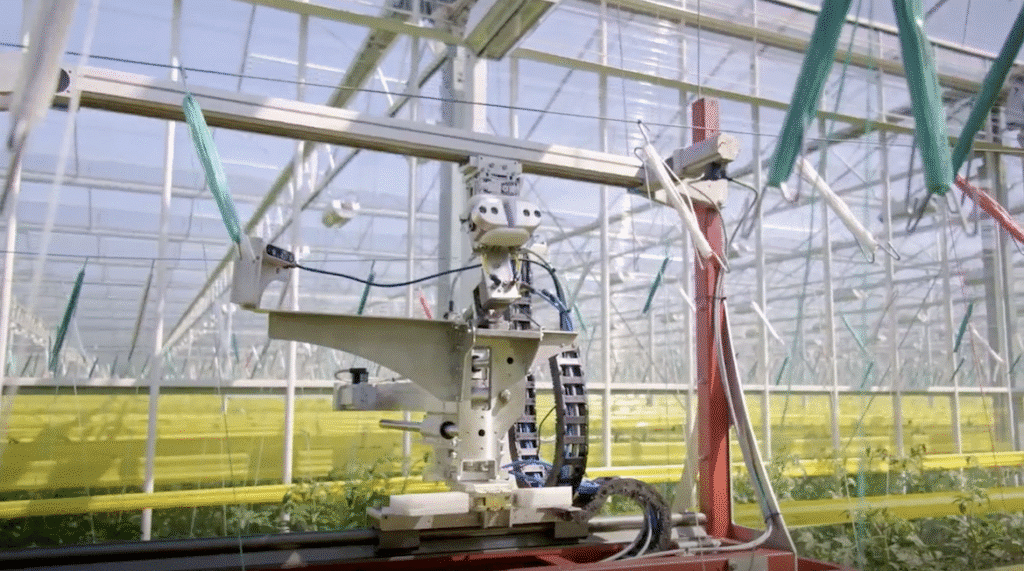Arugga AI Farming Launches First Autonomous Plant Lowering Robots in Europe