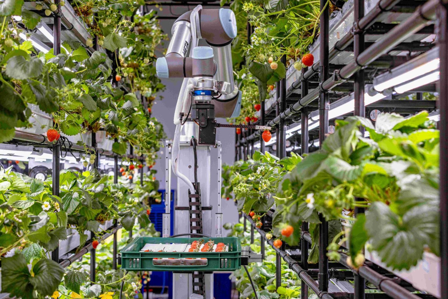 METAFARMERS Unveils Omni Farmer Robotics Platform at AFPRO 2025 in Seoul