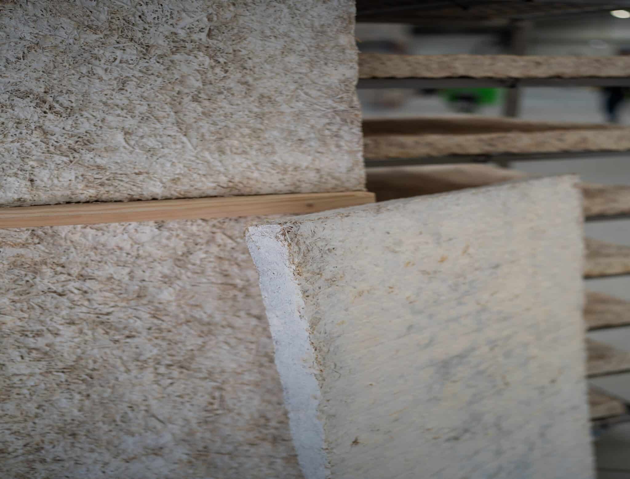 Mykor Raises 4 Million GBP to Scale Mycelium-Based Construction ...