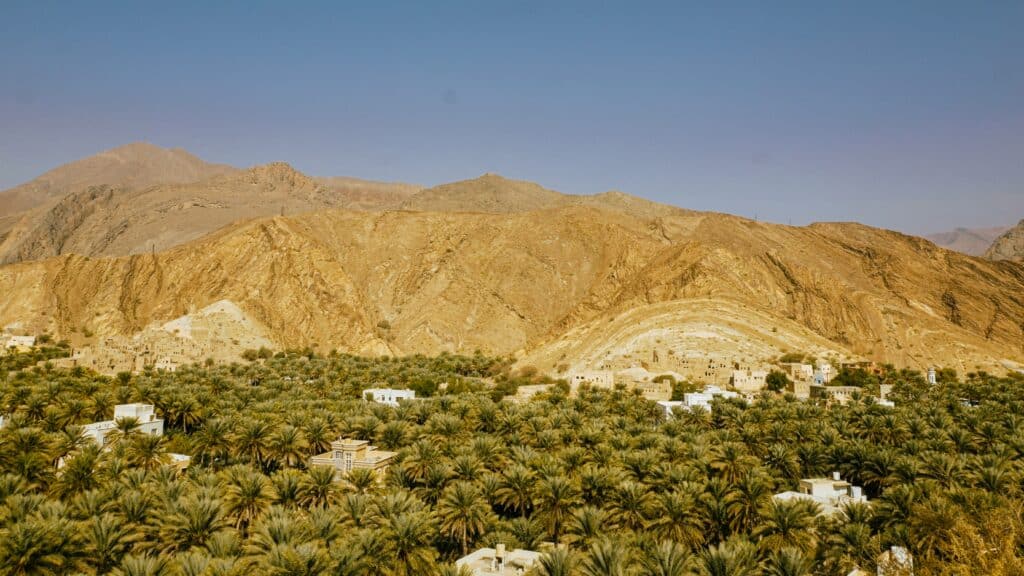 Oman Food Security Strategy: How Port Geography Changed the Gulf